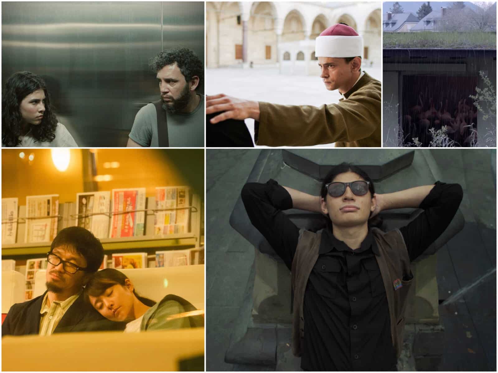 Searing themes and fleeting presences in five 2023 Wisconsin Film ...
